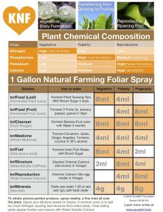 How-to Use KNF: Plant Application Guide – Natural Farming Hawaii
