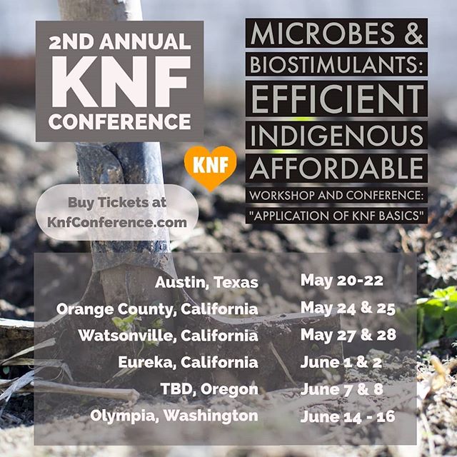 PureKNF Foundation – A Primary Source of KNF